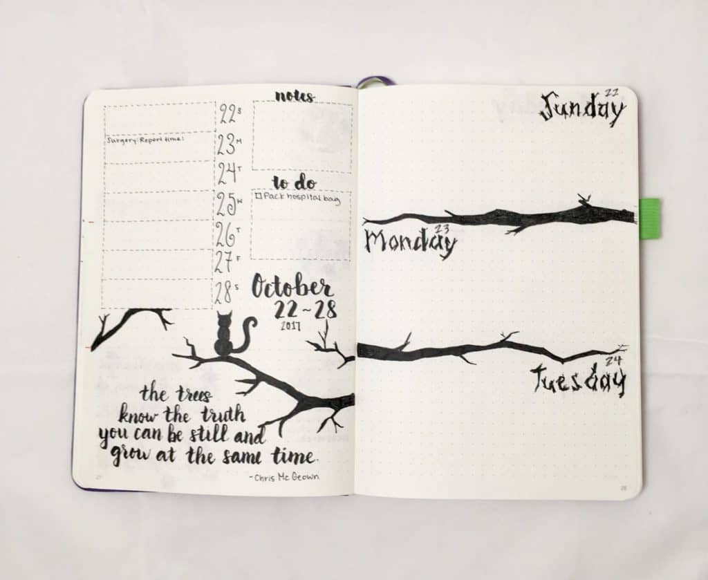 12-inspirational-bullet-journal-monthly-theme-ideas-planning-mindfully